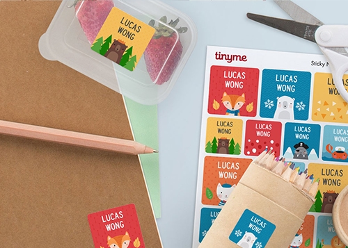 School Name Labels for Kids - Tinyme US